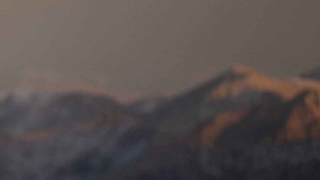 50 Forged | Empowering American Brands to Unlock Their Potential