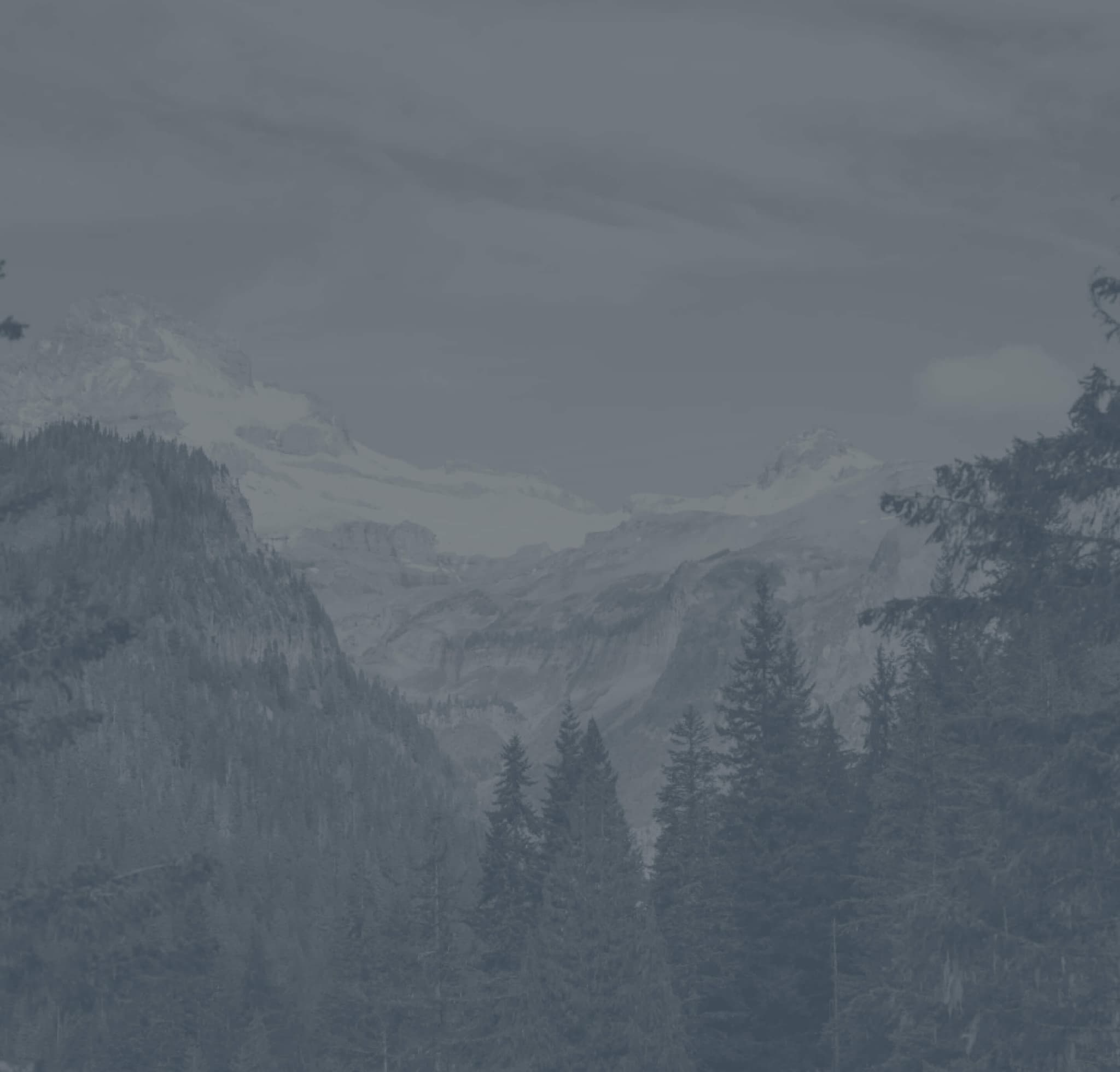 Membership | 50 Forged